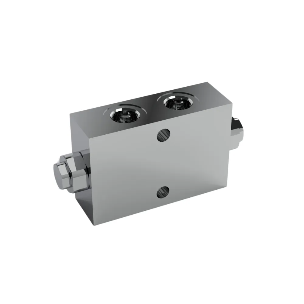 PILOT OPERATED CHECK VALVE FOR DOUBLE ACTING CYLINDER - VRDL | HFD ...